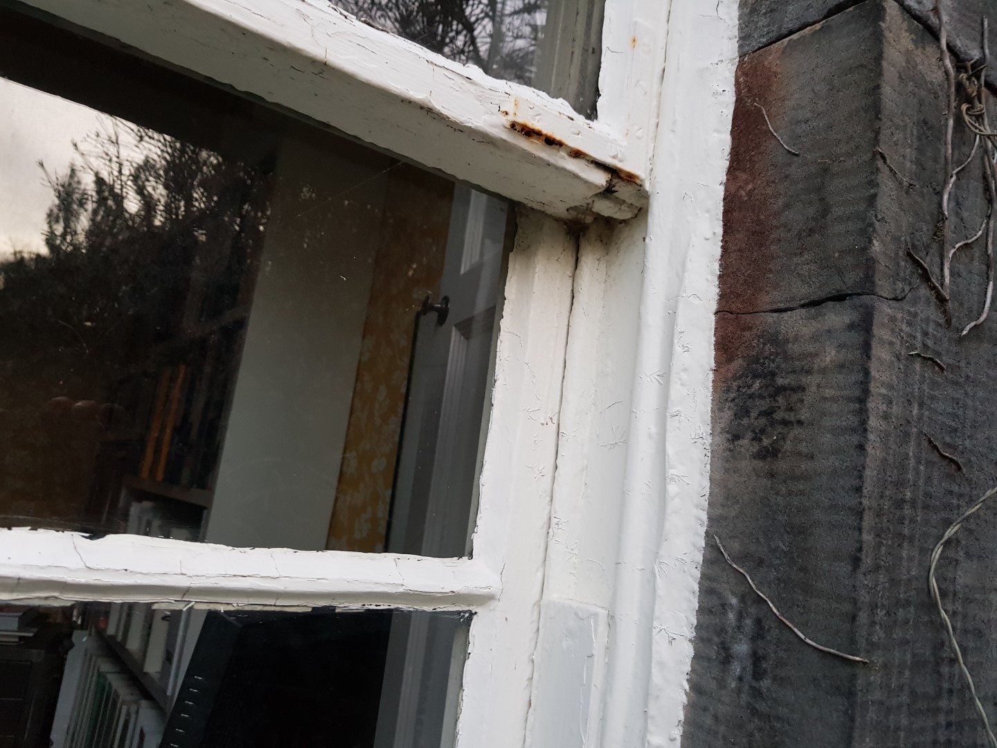 Window Surveys - Sash Window Surveys Edinburgh